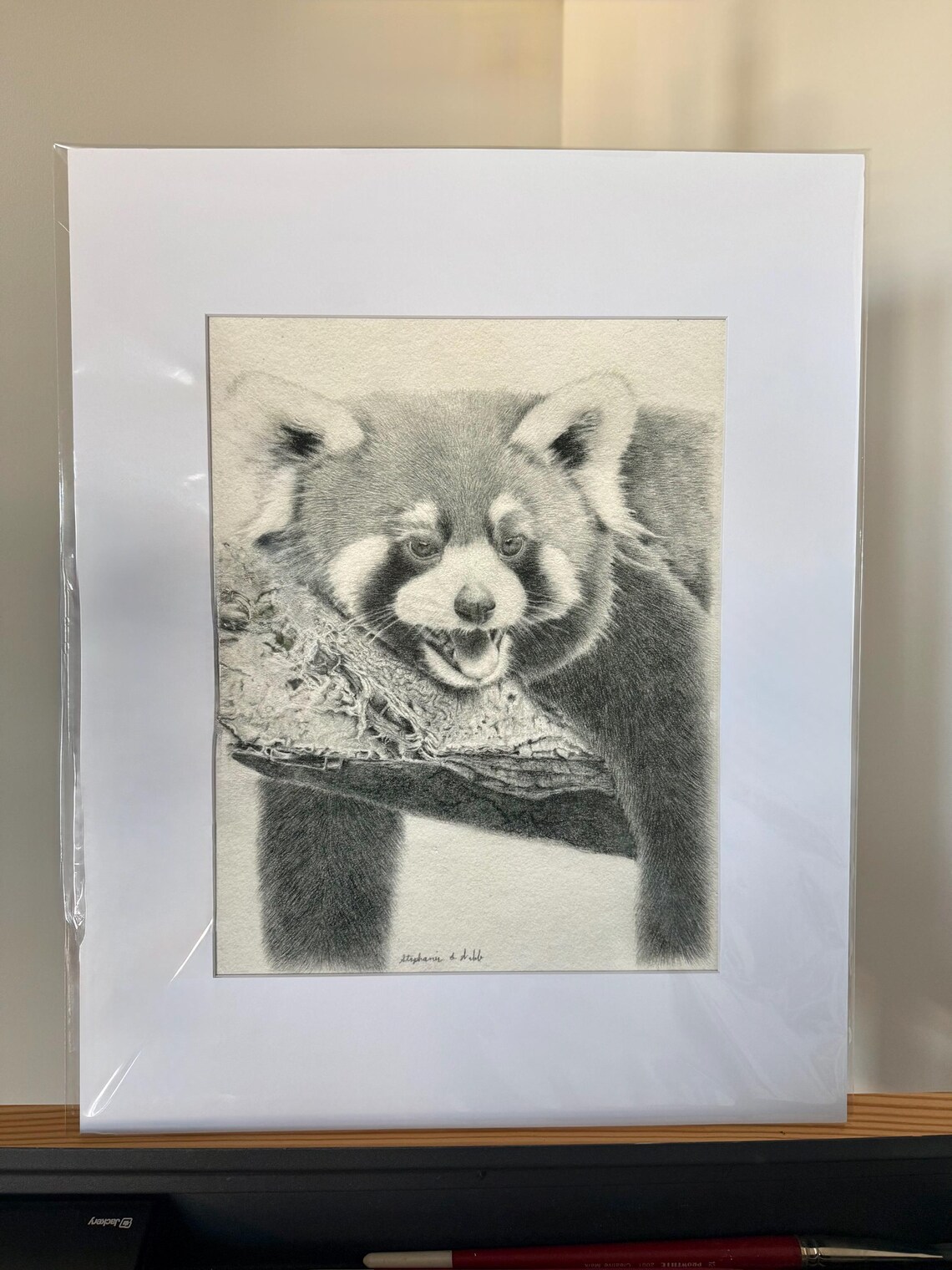 Red Panda Pencil Drawing Print - Etsy
