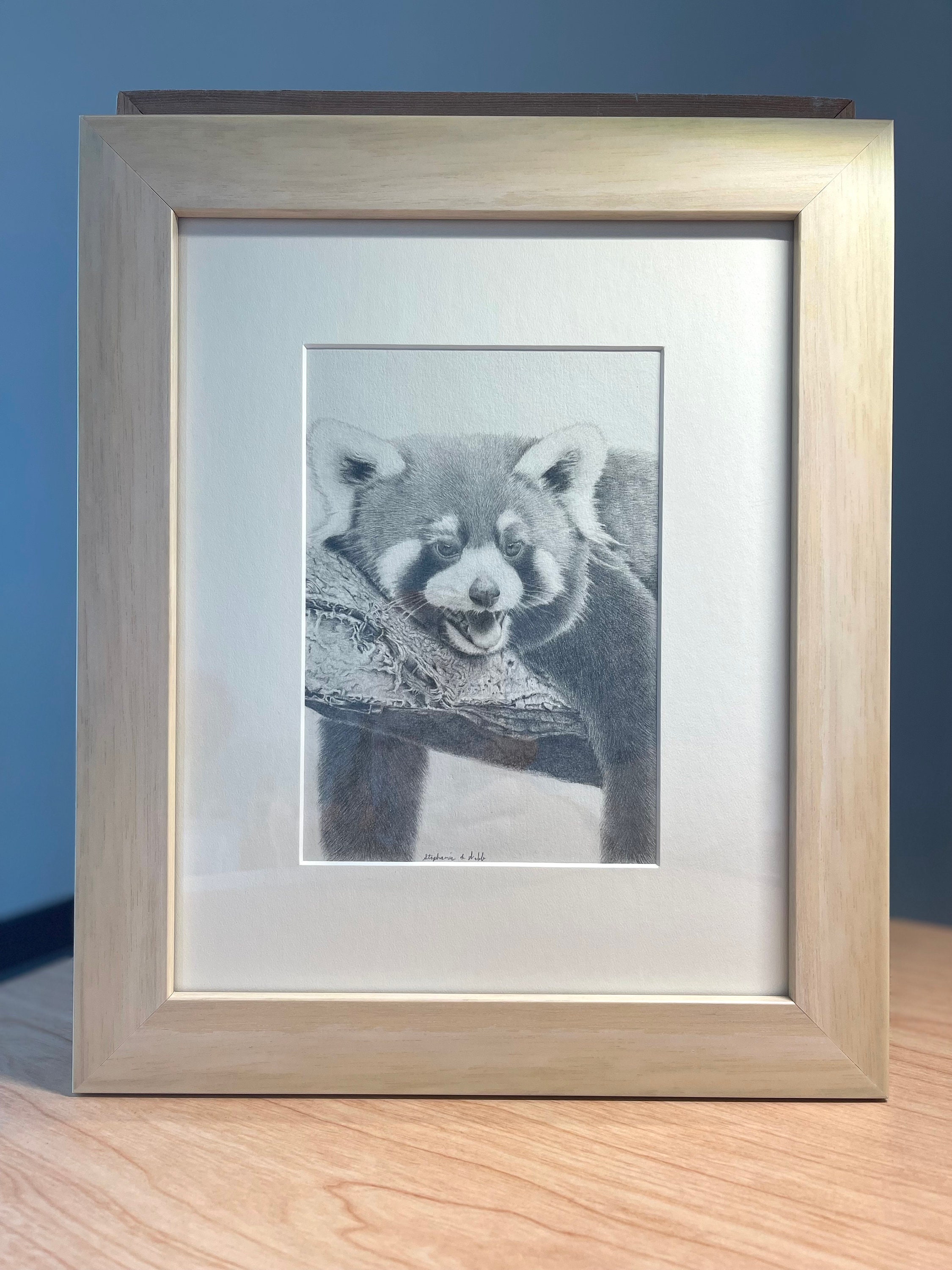 Red Panda-pencil Drawing - Etsy