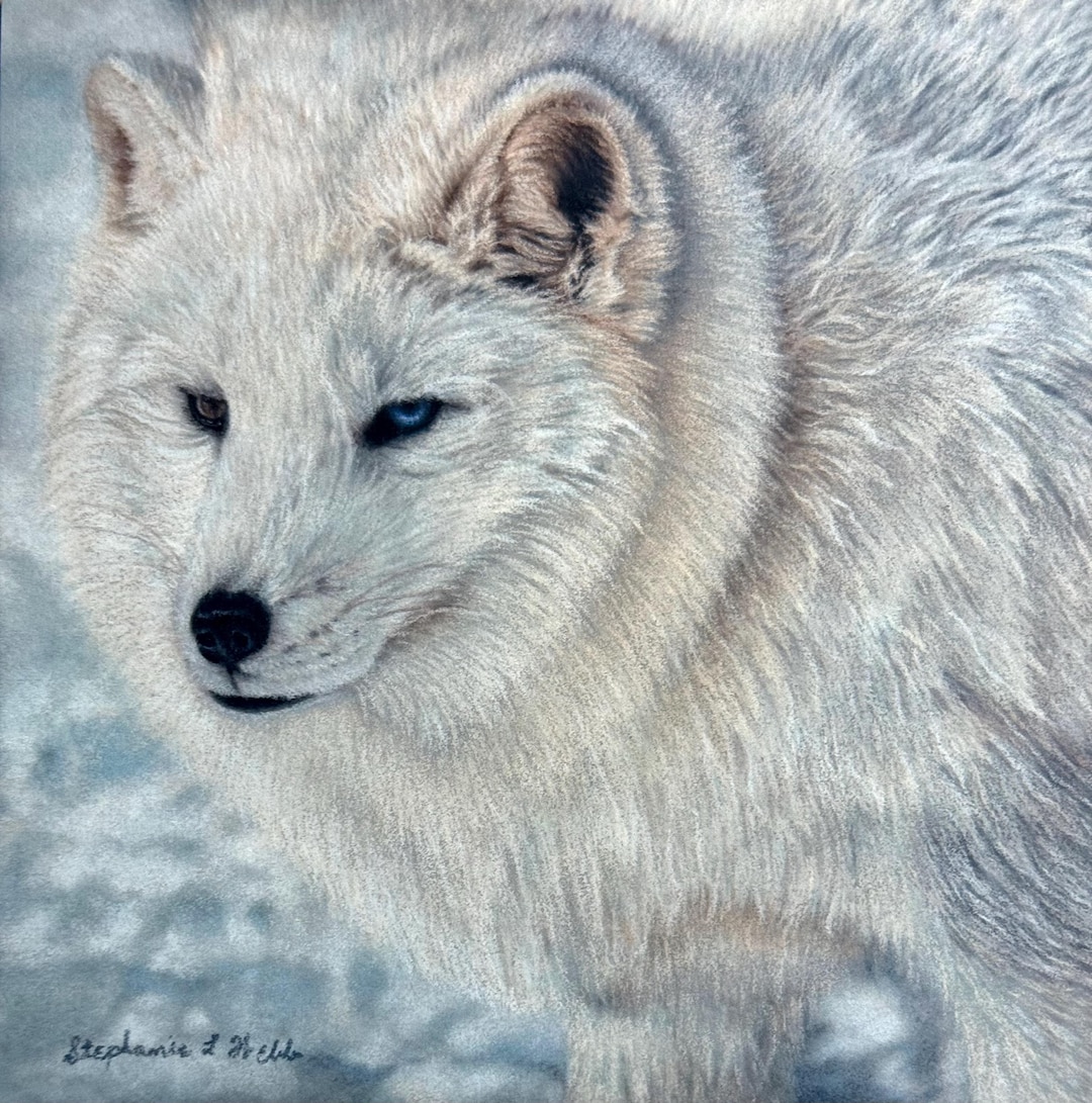 White Arctic Fox Print - Etsy