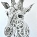 Small Giraffe Pencil Drawing Print - Etsy