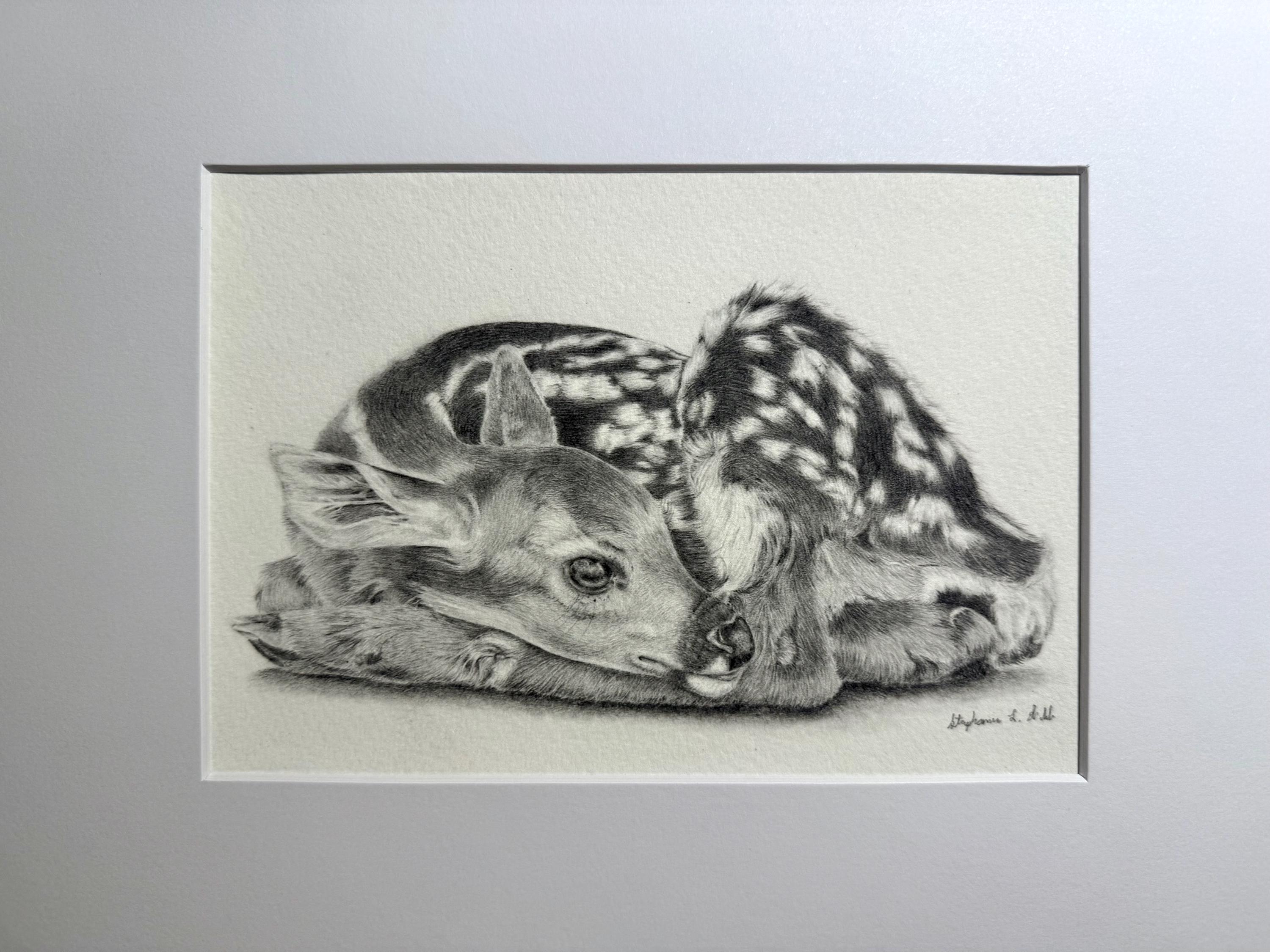 Fawn Pencil Drawing Print - Etsy