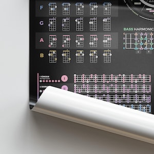 Bass Theory Cheat Sheet Poster - Chords, Scales, Fretboard Notes ...