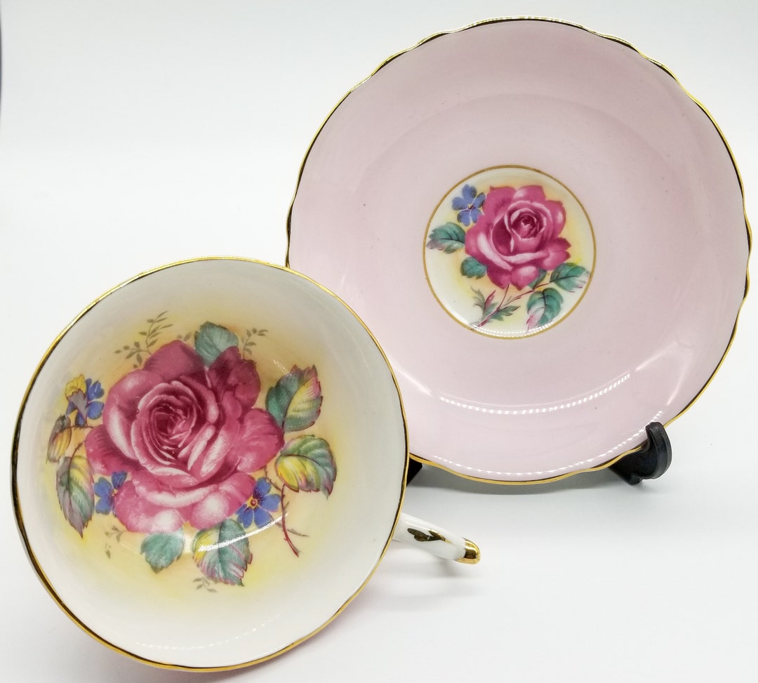Rare Paragon Cabbage Rose Bone China Teacup and Saucer - Etsy