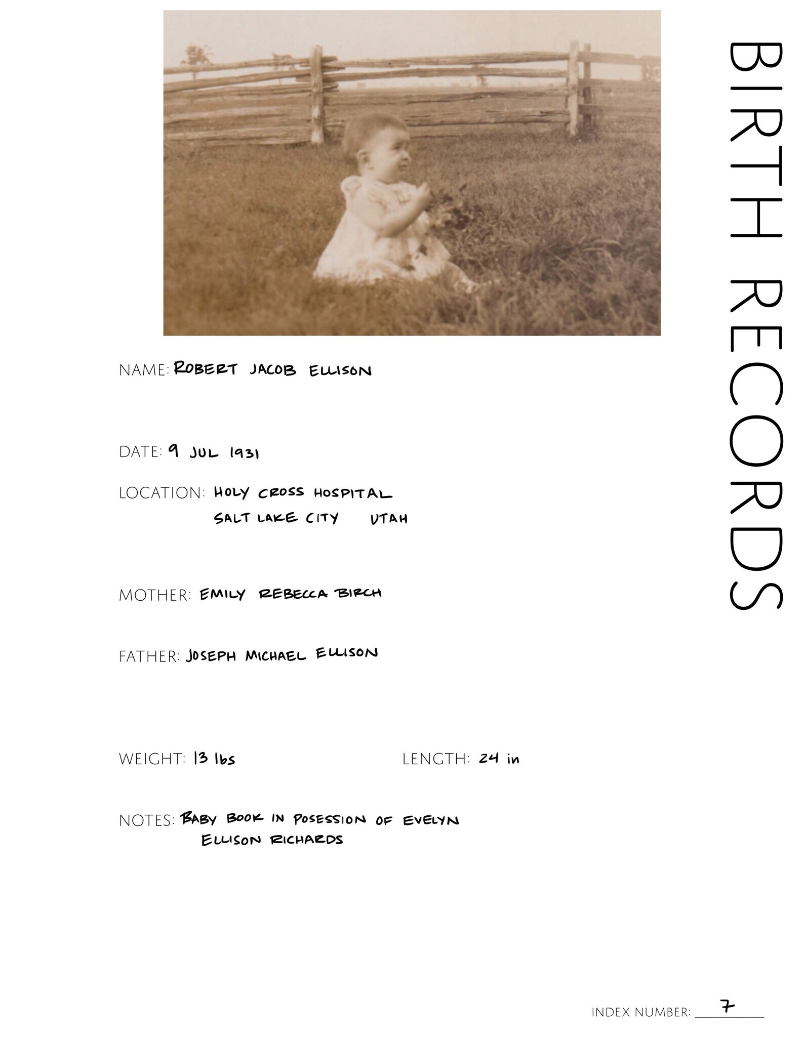 Low Ink International Deluxe Family History Bundle digital - Etsy