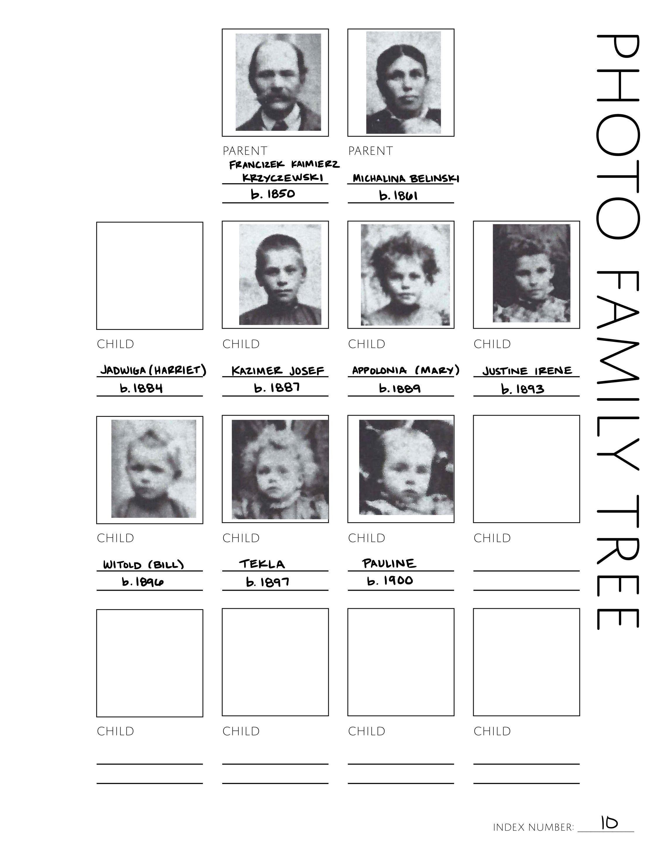 Photo Family Tree Goodnotes Family History Form for Genealogy (digital ...