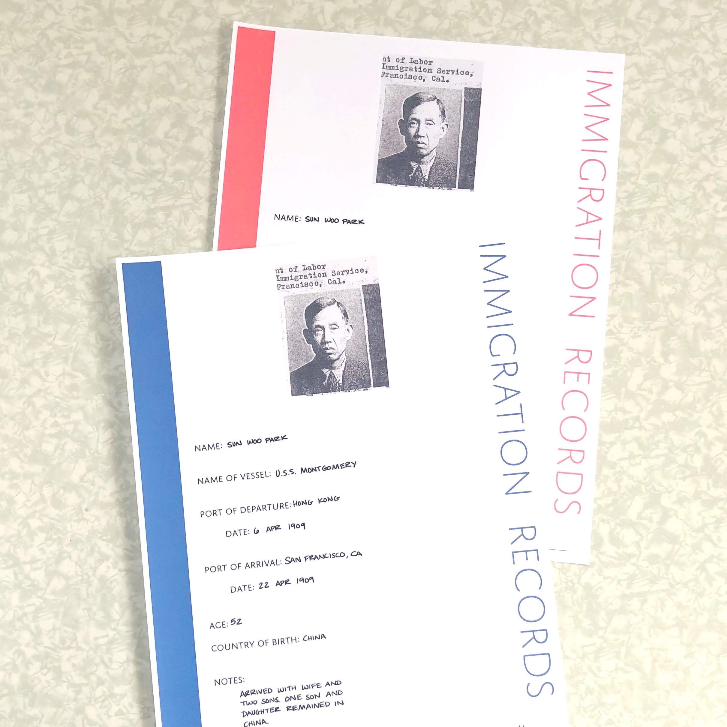 Ancestor Immigration Records Page: Printable Genealogy Form - Etsy