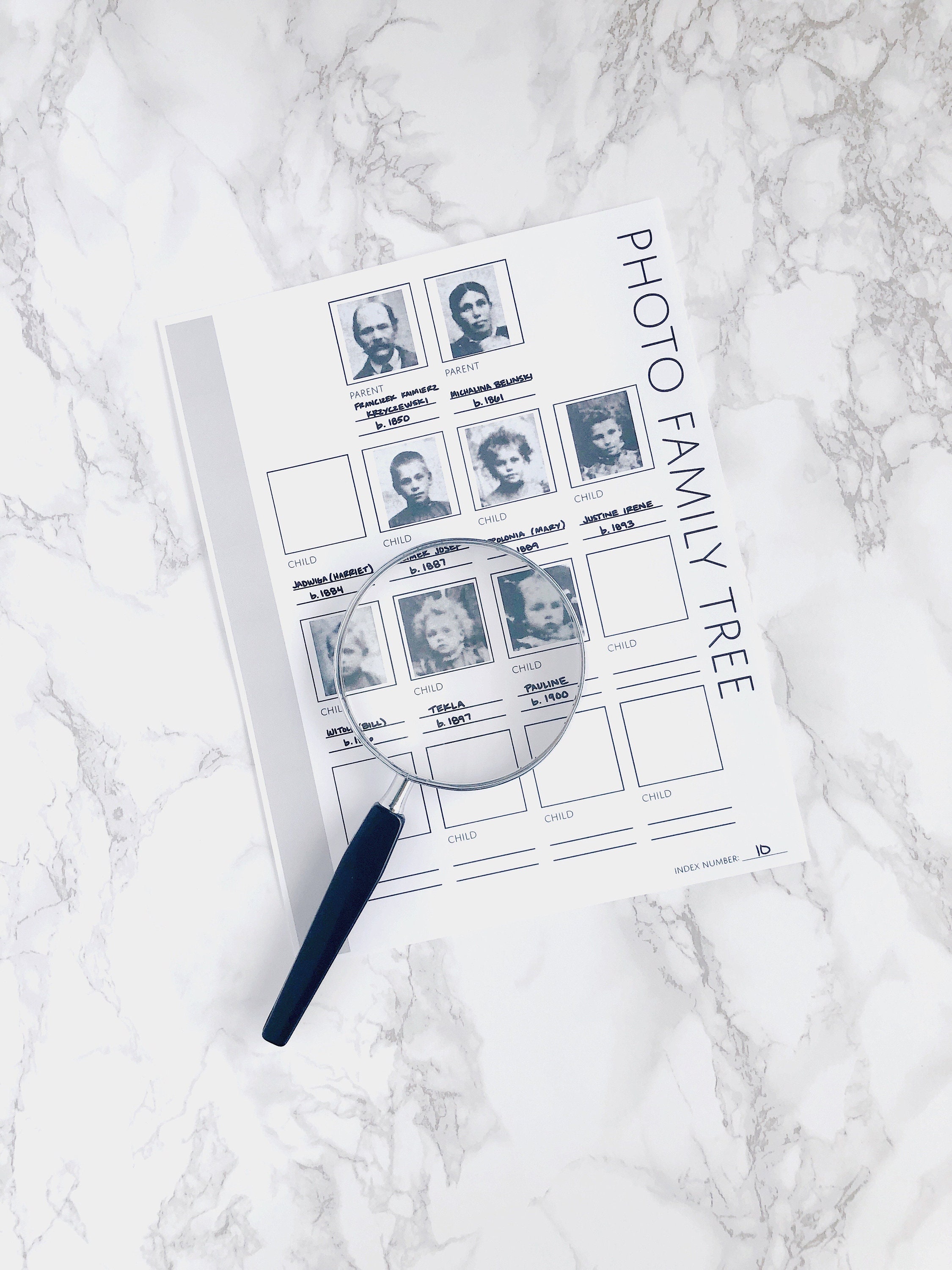 Photo Family Tree Goodnotes Family History Form for Genealogy (digital ...