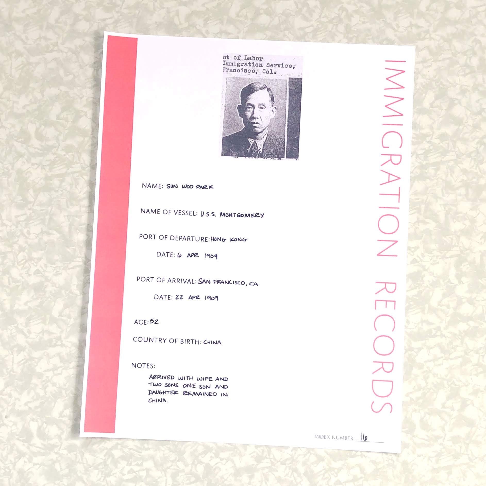 Ancestor Immigration Records Page: Printable Genealogy Form - Etsy