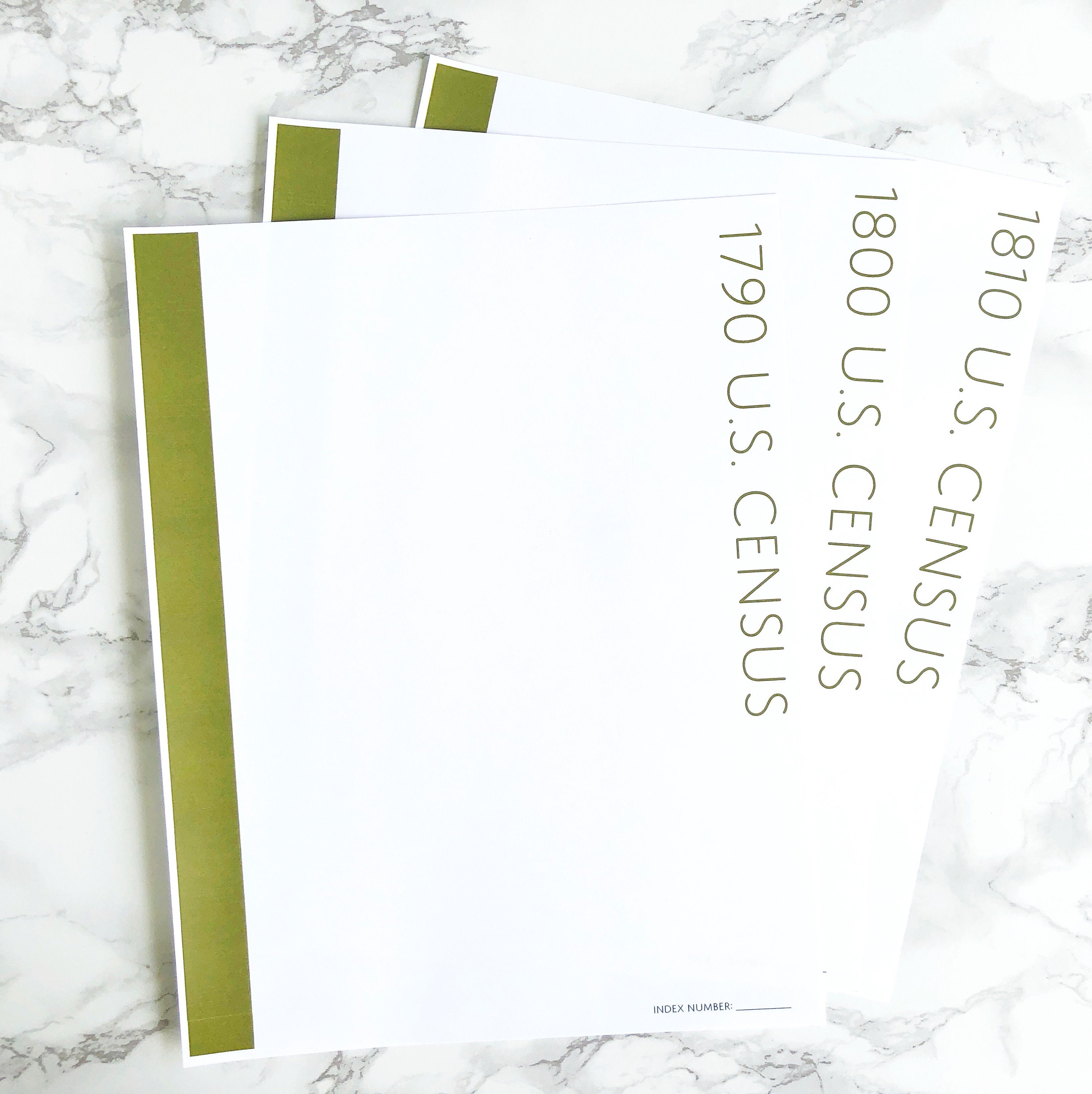 Blank US Census Pages: Printable Genealogy Form digital - Etsy