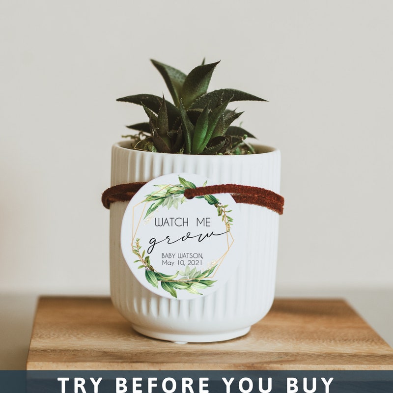 Baby Shower Succulent Tag - Etsy