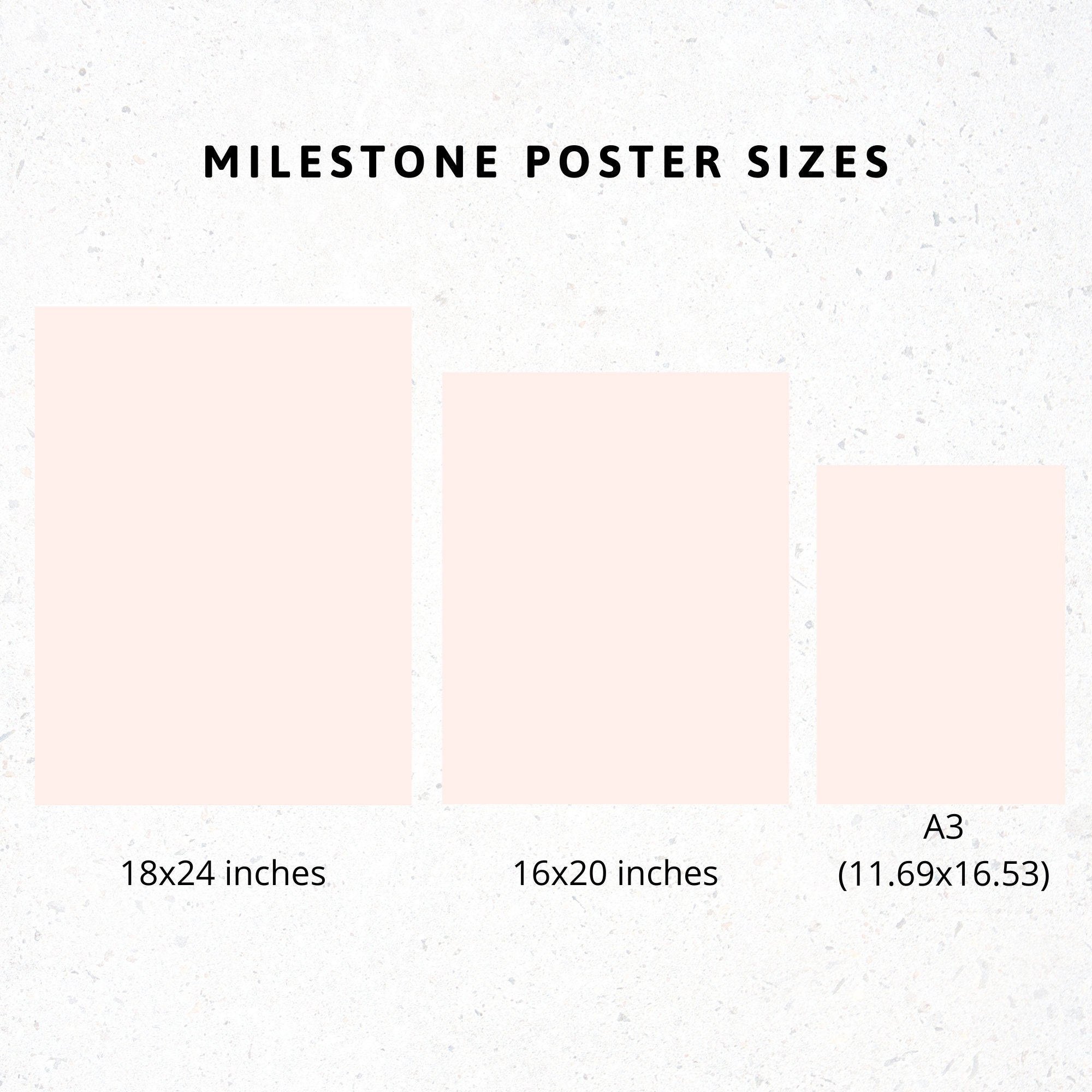 Koala 1st Birthday Milestone Board, Australian Animals (digital File ...