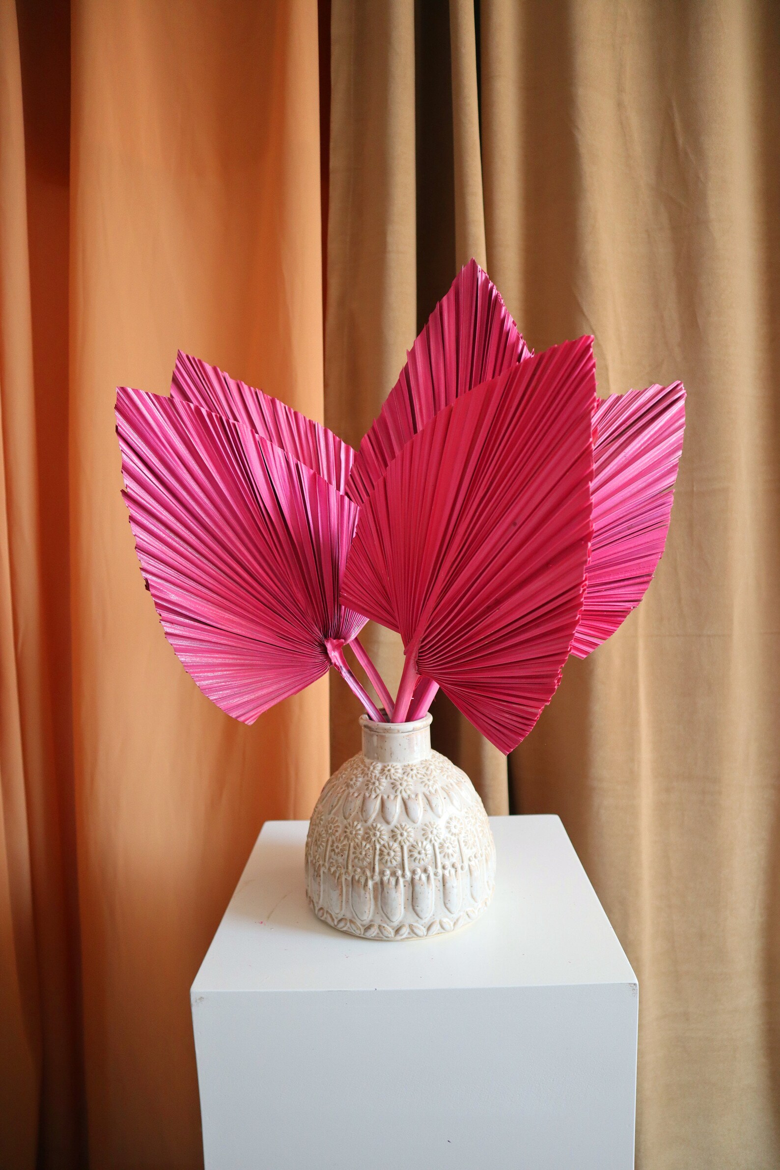 Palm Leaves Large Dried Palms Dried Palm Leaves Bleached | Etsy