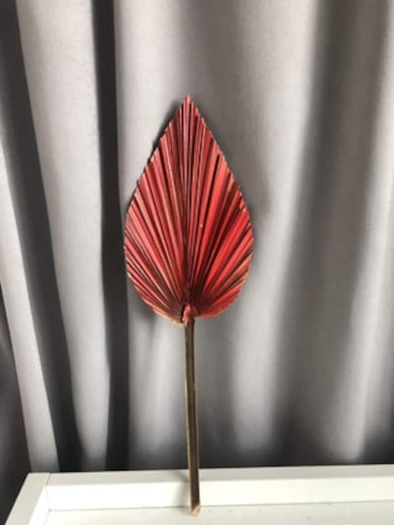 Light Cream Palm Leaves, Large Dried Palms, Dried Palm Leaves, Bleached ...