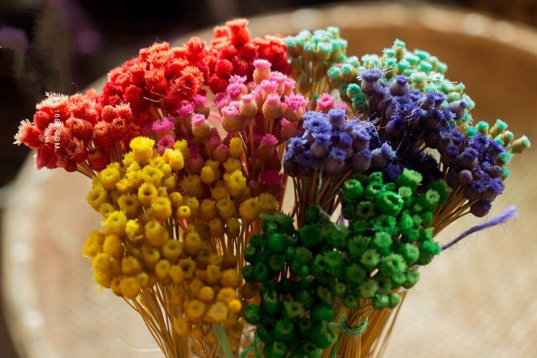 30 Stems/pack Dried Flowers,wedding,real Dried Flowers,small Mountain ...