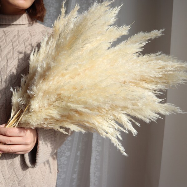 Pampas Grass Decor - Etsy