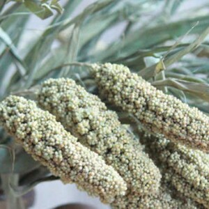 Dried Flower Bouquet, Vase Filler, Natural Home Decor, Dried Flowers ...