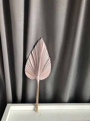 Light Cream Palm Leaves, Large Dried Palms, Dried Palm Leaves, Bleached ...