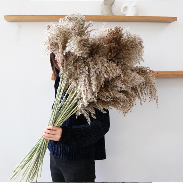 Dried Grass - Etsy