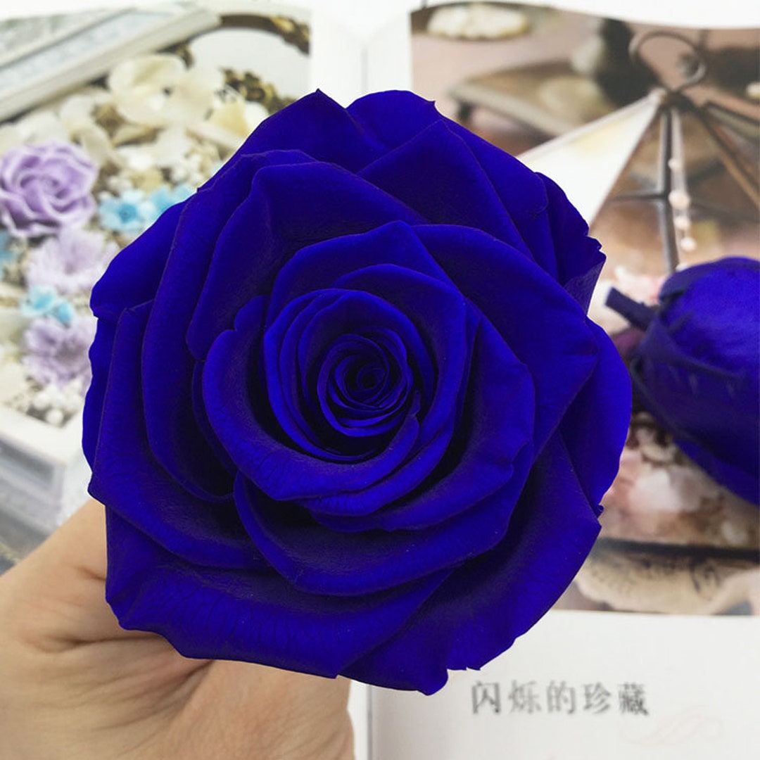Preserved Flowers BLUE Roses Luxury Rose Premium Roses - Etsy