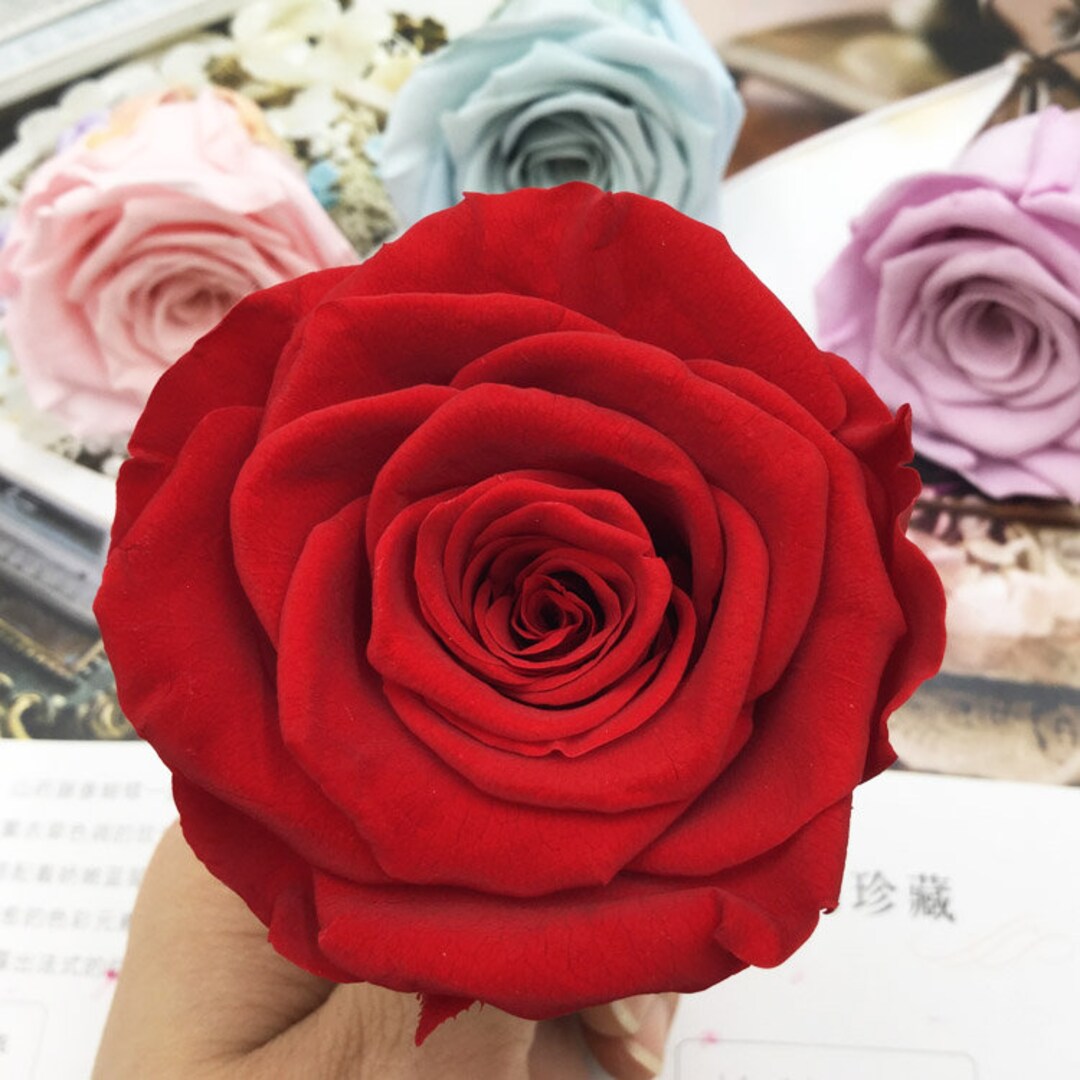 Preserved Flowers RED Roses Luxury Red Rose Premium Red - Etsy