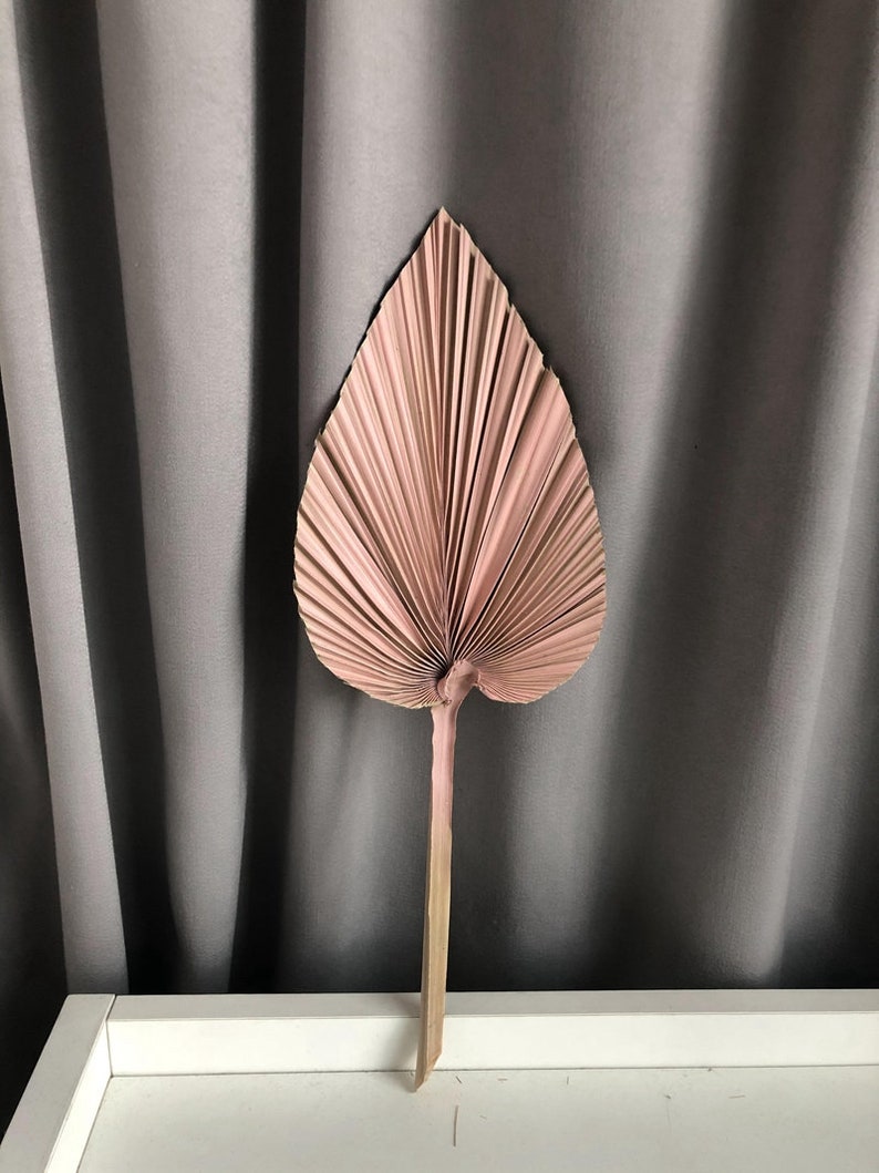 Light Cream Palm Leaves Large Dried Palms Dried Palm Leaves | Etsy