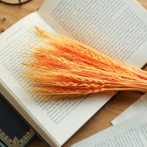 Dyed Grass|dried Grass | Dyed Grass | Colored Grass,barley, Wedding ...