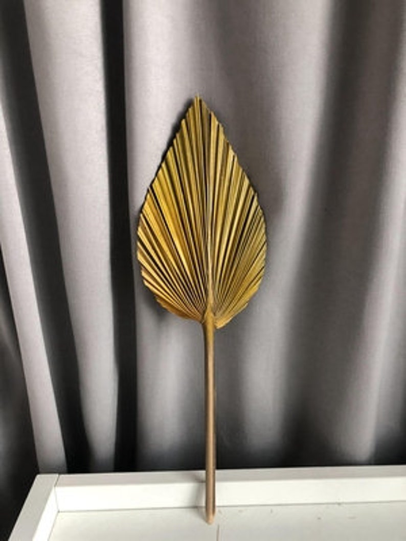 Light Cream Palm Leaves, Large Dried Palms, Dried Palm Leaves, Bleached ...
