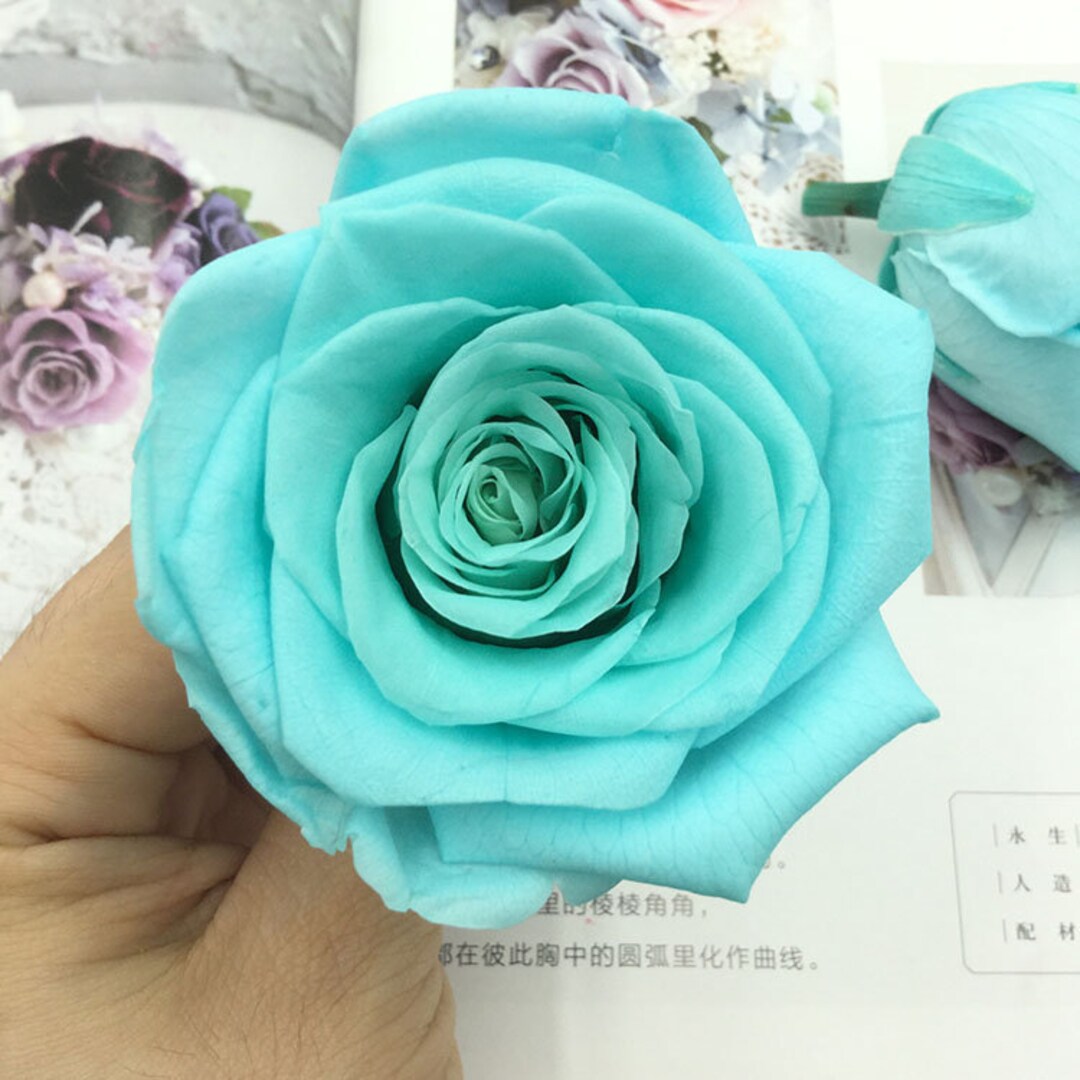 Preserved Flowers Wathet Blue Roses, Luxury Rose, Premium Roses ...