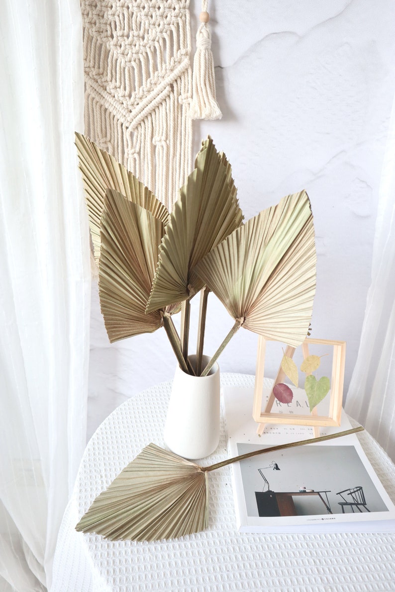 Palm Leaves Large Dried Palms Dried Palm Leaves Bleached - Etsy