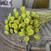 6 Colors Natural Dried Floral Buttons Giant Floral Buttons - Etsy
