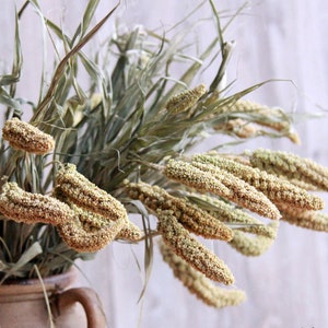 Dried Flower Bouquet, Vase Filler, Natural Home Decor, Dried Flowers ...