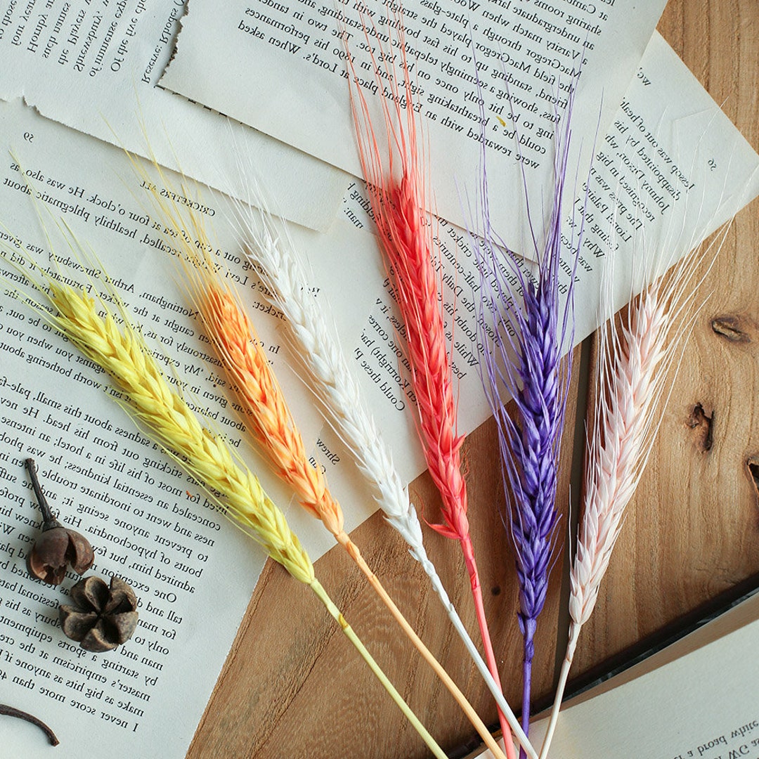 Dyed Grass|dried Grass | Dyed Grass | Colored Grass,barley, Wedding ...