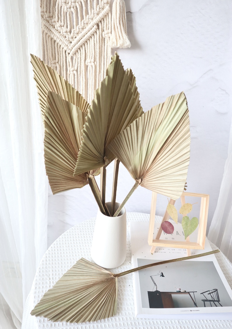 Palm Leaves, Large Dried Palms, Dried Palm Leaves, Bleached Palm Leaves ...