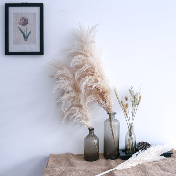 Dried Reeds - Etsy