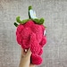 CROCHET RASPBERRY PATTERN, Amigurumi Raspberry or Blackberry With Eyes ...