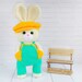BUNNY 3 CLOTHES SET Crochet Pattern Plush Bunny With - Etsy