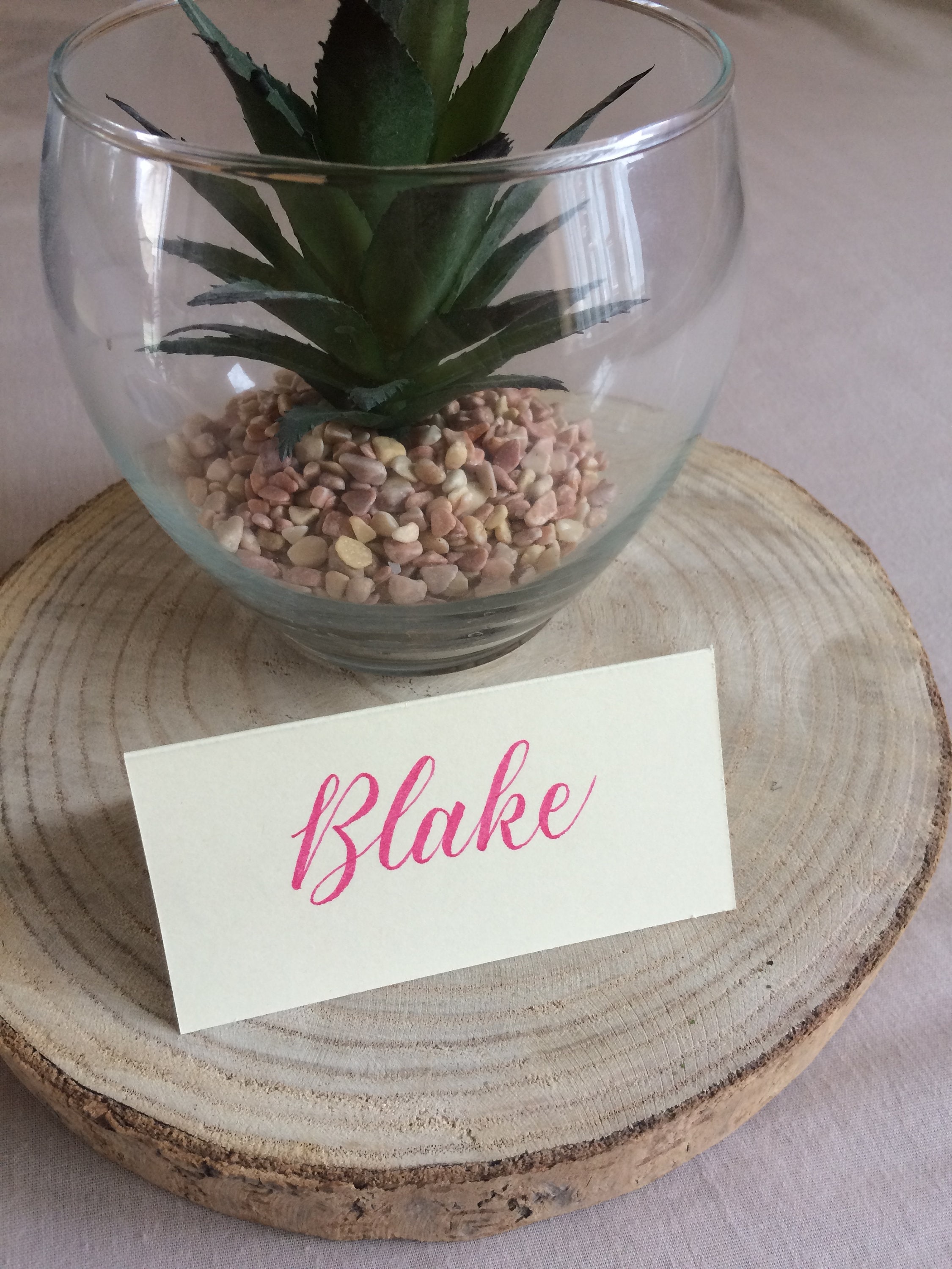 Custom Cream Calligraphy Place Cards Brush Lettered Name | Etsy
