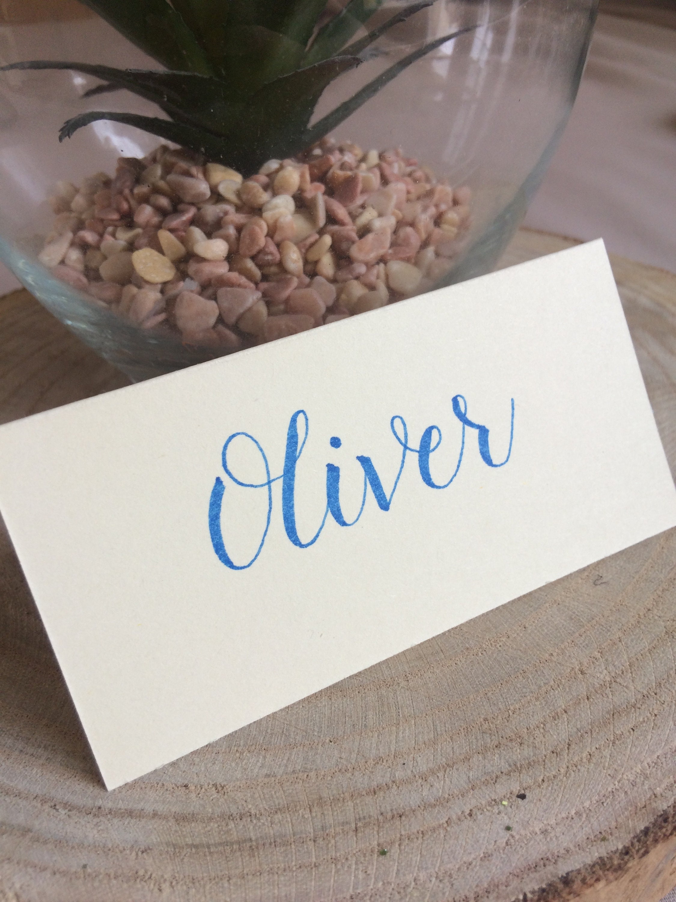 Custom Cream Calligraphy Place Cards Brush Lettered Name | Etsy