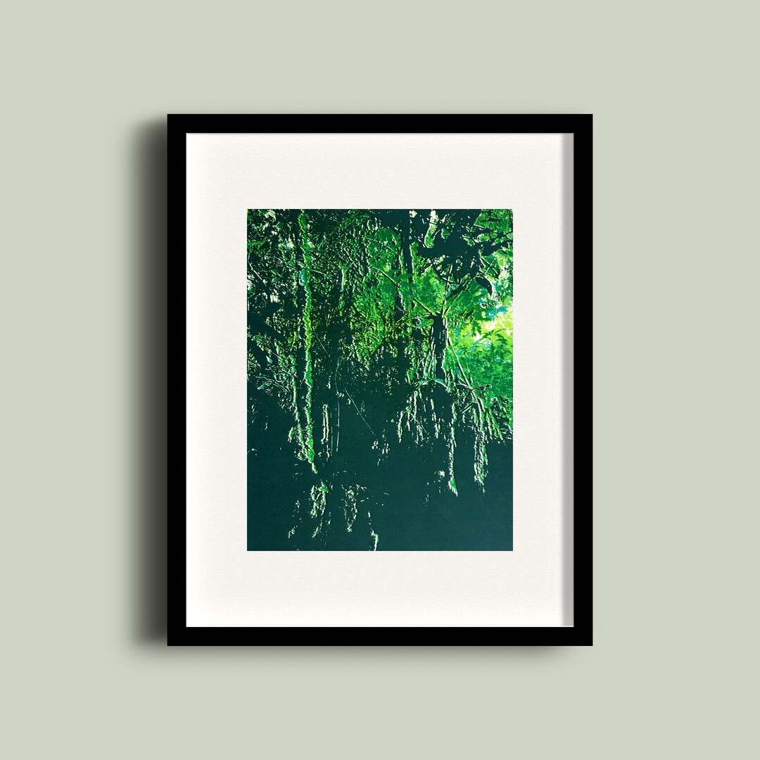 Green Jungle Screen Printing A3 Posters mindo - Etsy