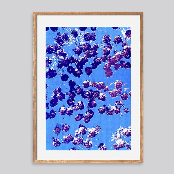 Screen Print Confetti - Etsy