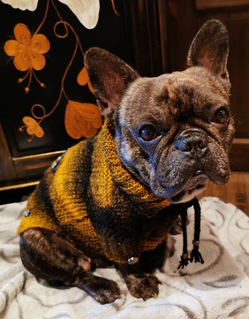 Verwunderlich Pullover Französische Bulldogge Fotos