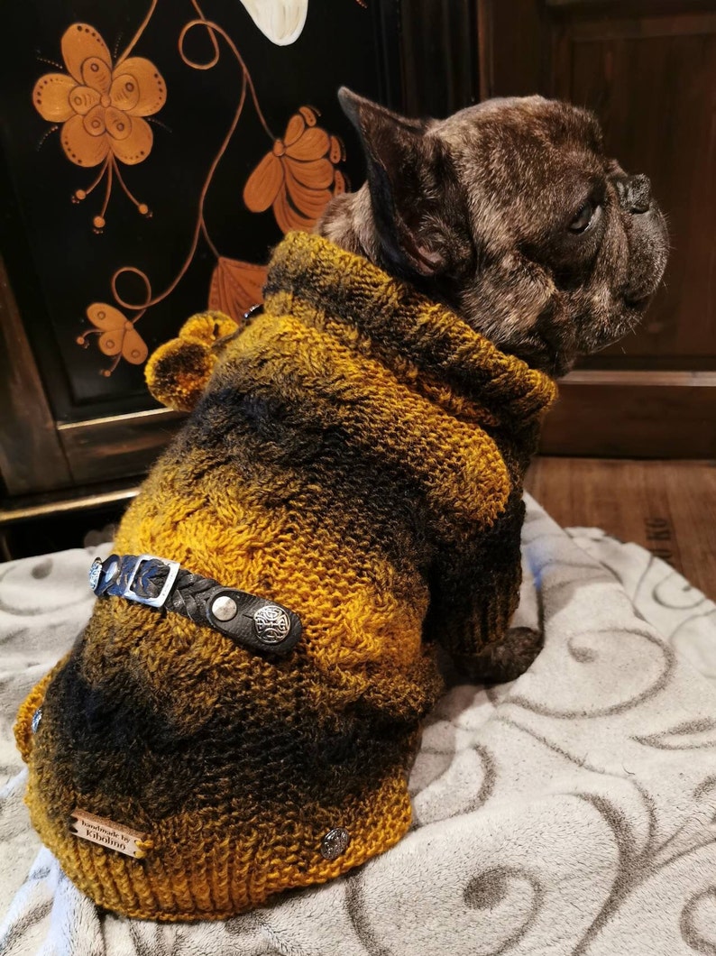 Verwunderlich Pullover Französische Bulldogge Fotos