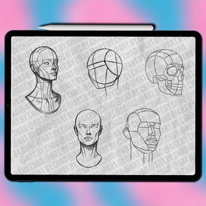 Procreate Head Guide Stamps. Procreate Head Stamps. Procreate Face ...