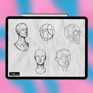 Procreate Head Guide Stamps Procreate Head Stamps Procreate Face Stamps ...