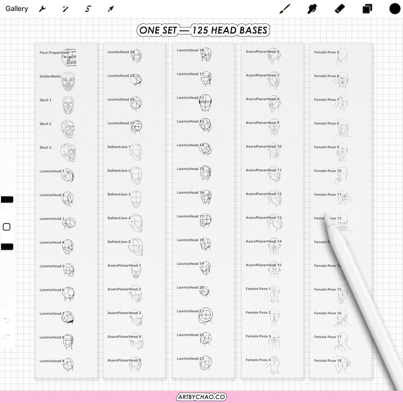 Procreate Anatomy Head Guides: 125 Face Bases, Head Planes, Face Ratio ...
