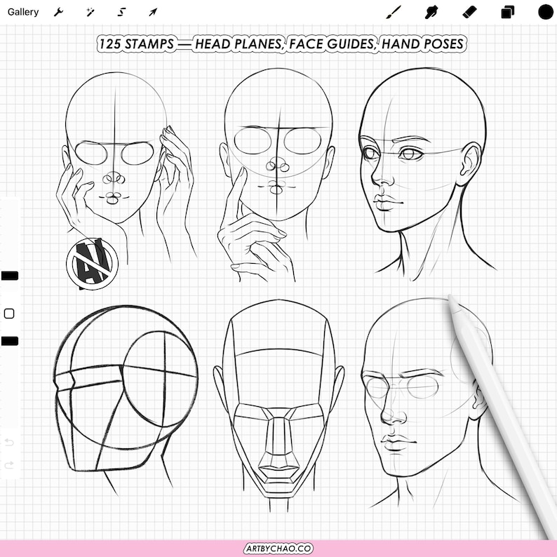 Procreate Anatomy Head Guides: 125 Face Bases, Head Planes, Face Ratio ...