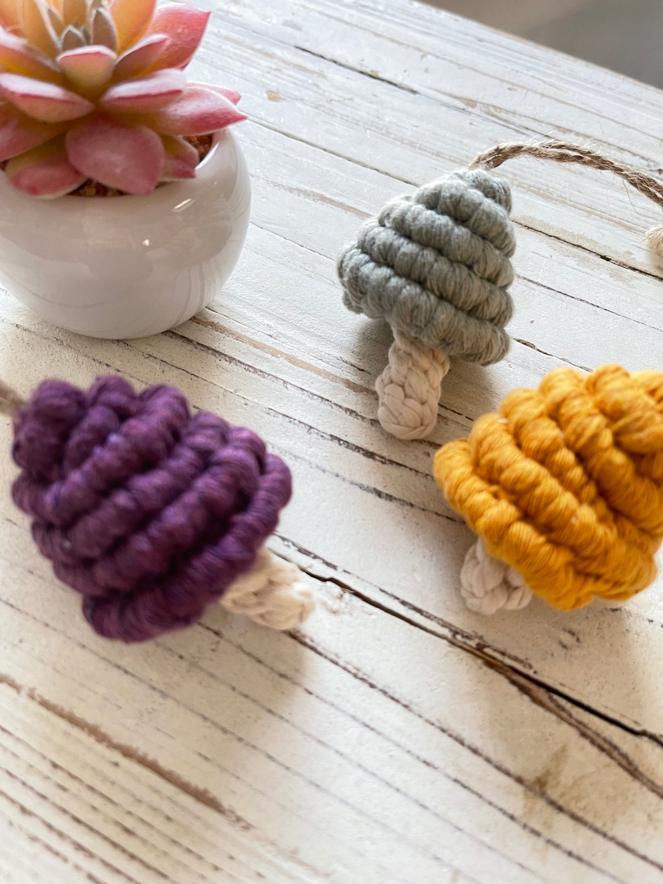 Macrame Mushroom, Boho Decor Macrame Mushrooms, Mini Mushroom Lovers ...