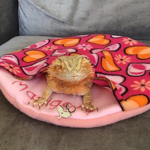 Bearded Dragon Carrier - Etsy