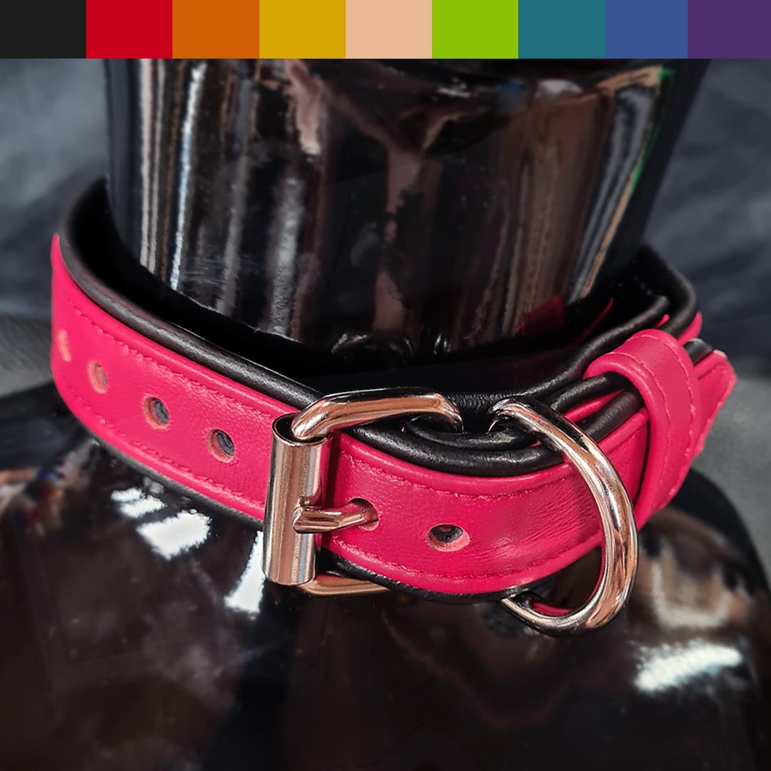 Sleek Leather Fashion Collar, 1 Inch Wide Version, Custom Colours - Etsy