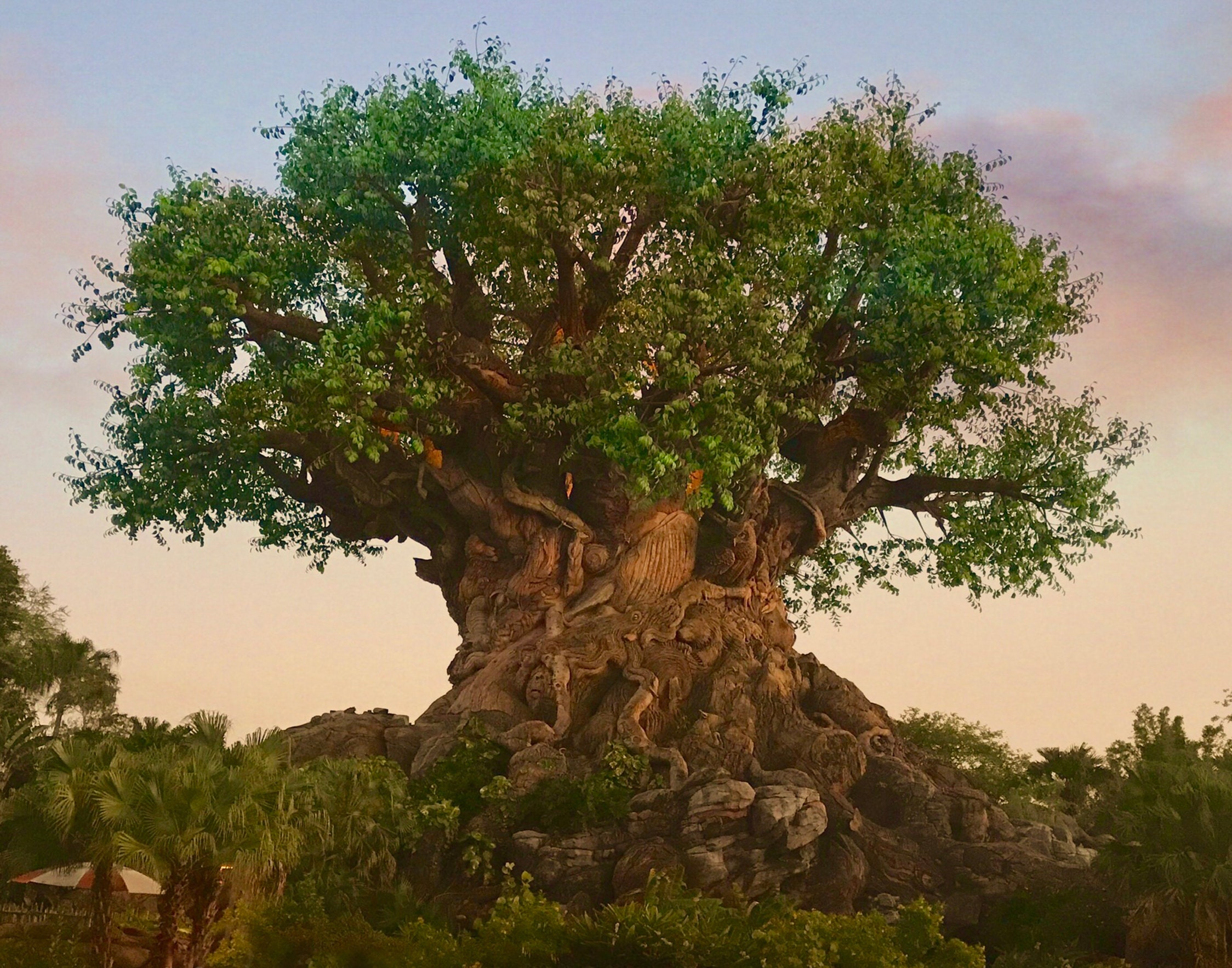 Disney Tree Of Life Clipart